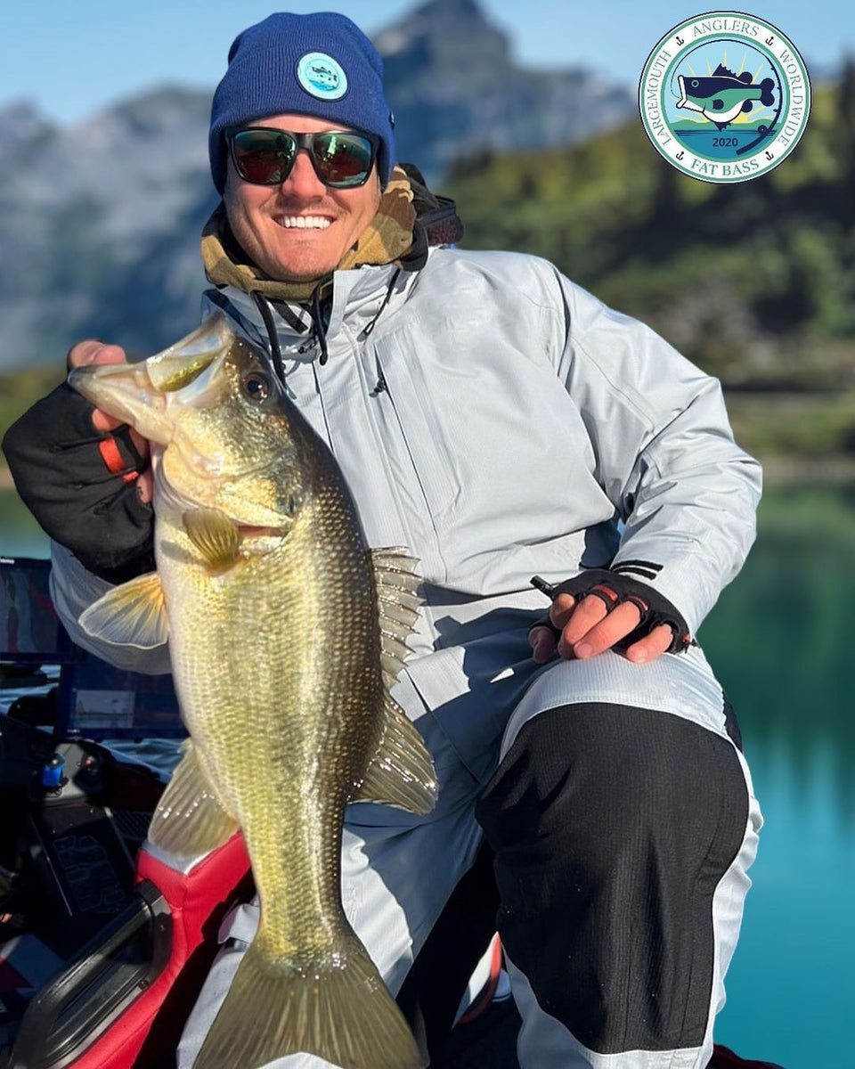 We hear FAT BASS like it when you do.😄 – Fat Bass