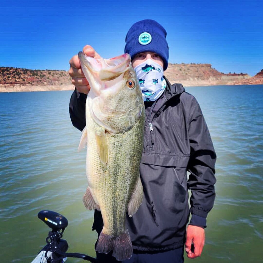 Good morning 🌞 – Fat Bass