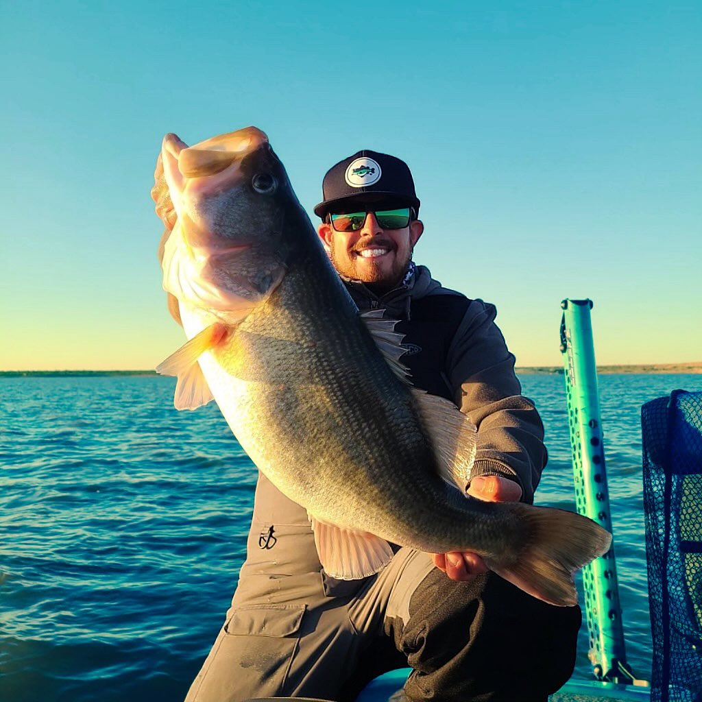 A certified 11lb 9oz FAT BASS !!! – Fat Bass