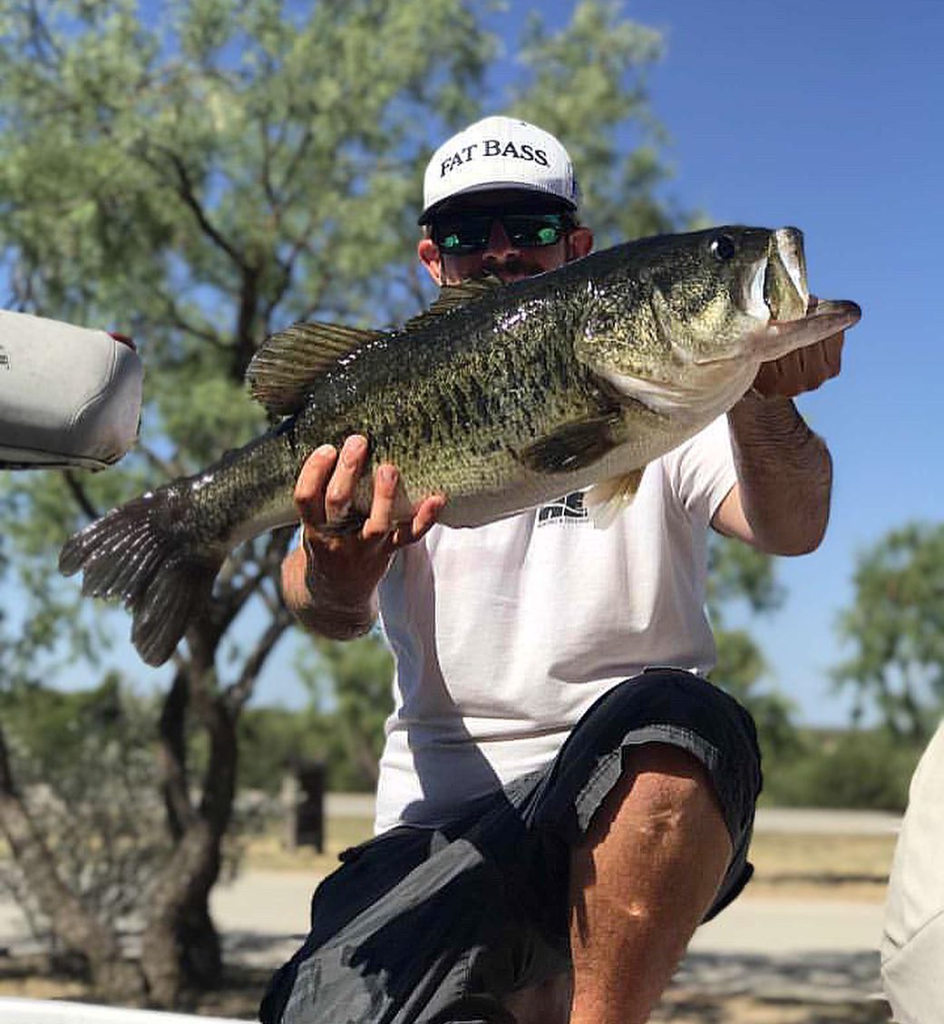 GIANT FAT BASS! – Fat Bass